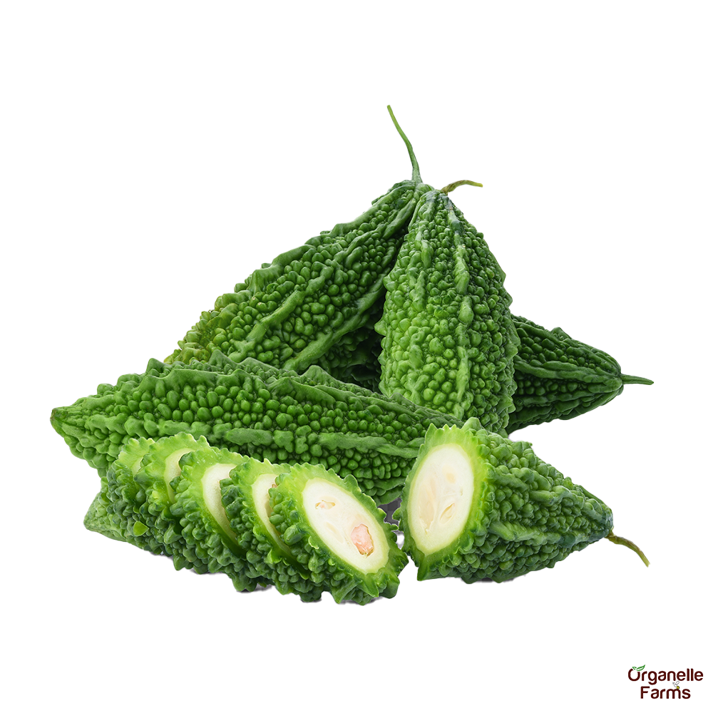 Bitter Gourd (Kalara)-500 Gms | Organelle Farms